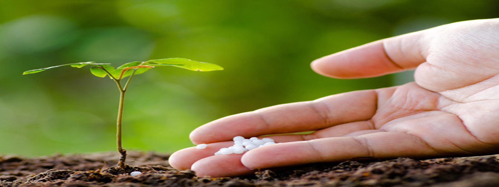 Home | MAPCO Fertilizer Industries